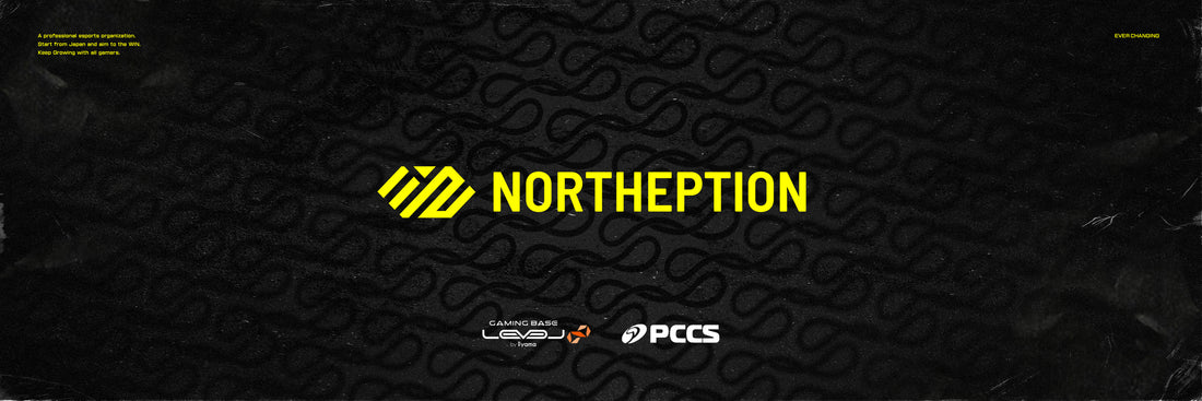 NORTHEPTION ONLINE STORE